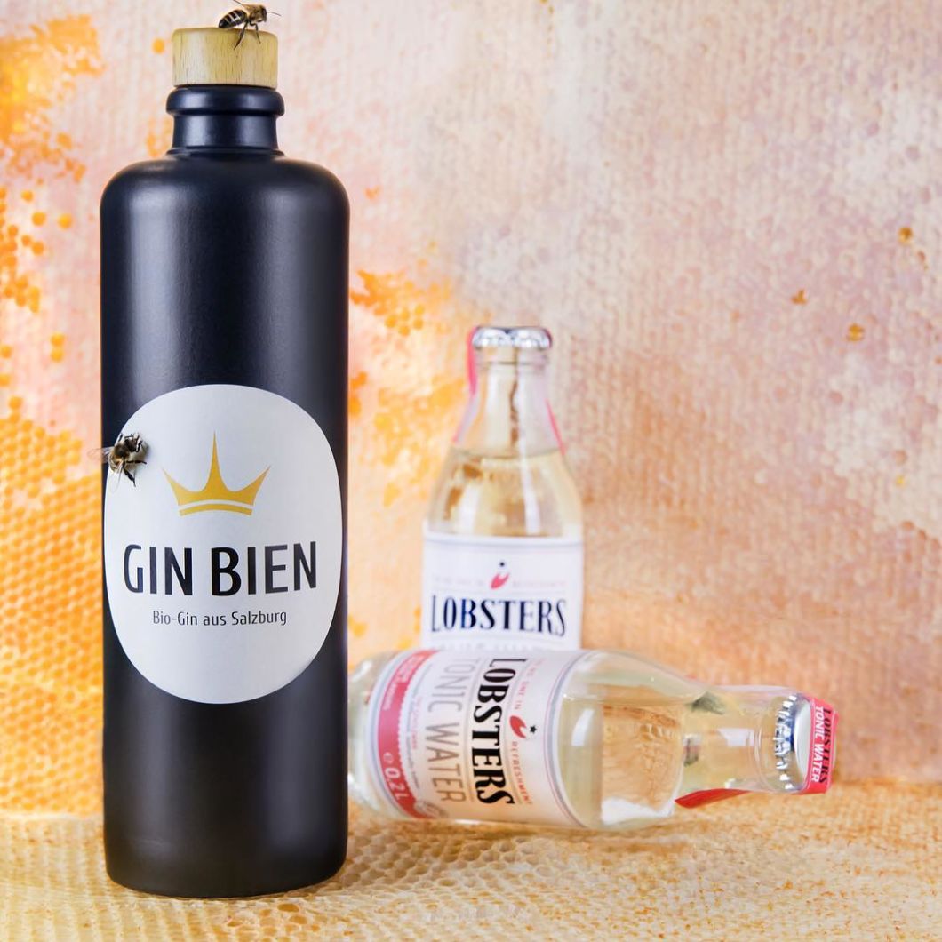 Lobsters & Gin Bien - eine außergewöhnliche Kombination - CONDA