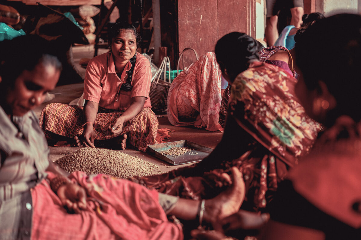 KAFFEIN: 5 Gründe, wieso Sie investieren sollten! | CONDA Blog