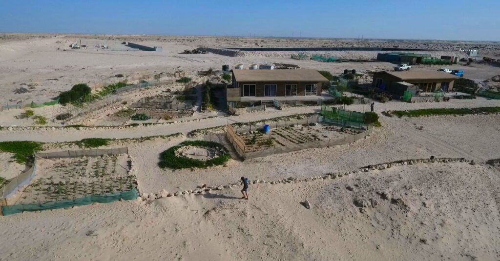 clean & green: Die Pro Terra Farm im Überblick | CONDA