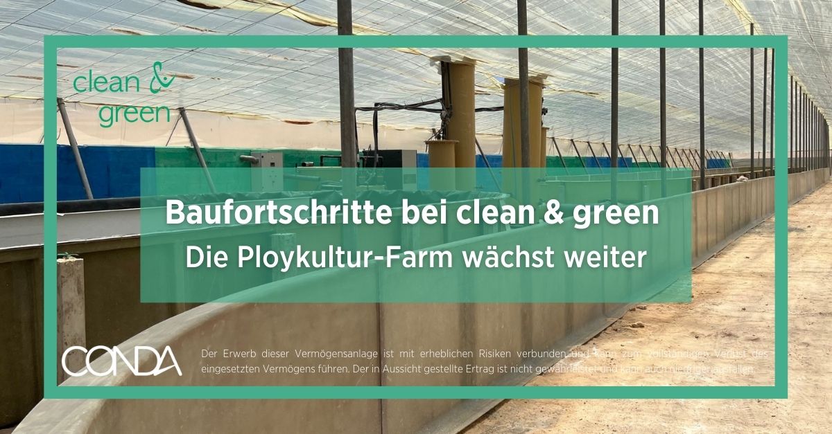 Baufortschritte bei Pro Terra Maroc – Die Ploykultur-Farm wächst weiter ...
