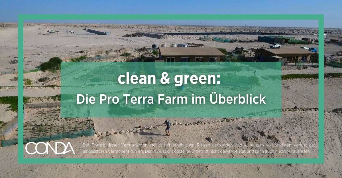 clean & green: Die Pro Terra Farm im Überblick | CONDA